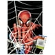 Marvel Comics - Spider-Man - Web Wall Poster with Push Pins, 14.725" x ...