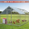 Kicctian 4-Hole Chicken Nesting Boxes, Galvanized Steel Roll-Away Egg ...