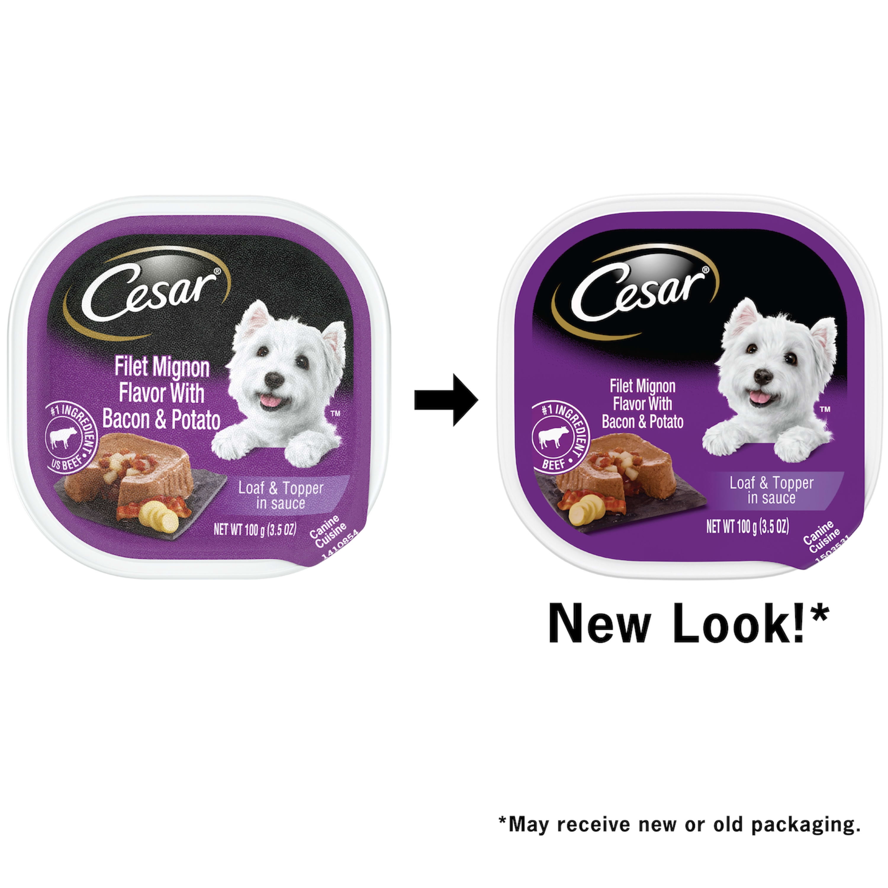 CESAR Soft Wet Dog Food Loaf & Topper in Sauce Filet Mignon Flavor with ...