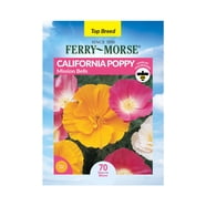Burpee Poppy Yukon Gold Seed, 1-Pack, Full Sun, Annual - Walmart.com