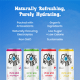 Caliwater Nopal Cactus Water Variety Pack, Ginger Lime, Watermelon ...