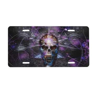 Rosie the Riveter - We Can Do It Novelty Metal Vanity License Tag Plate ...