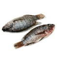 Fresh Whole Tilapia, 1.5 lb Tray 22g Protein per 4 oz (112g) Serving ...