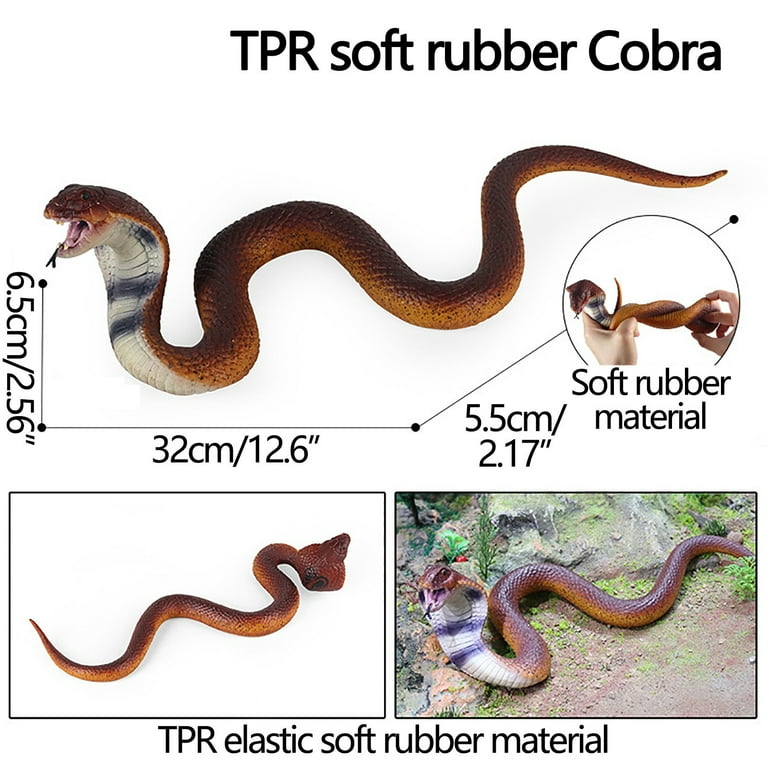 Rubber Boa Snake Skeleton