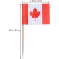 Toothpicks Wood 100pcs Flag Toothpicks, Flag Cupcake Toppers Mini Flags ...
