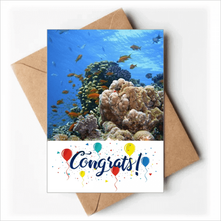 Ocean Fish Science Nature Picture Wedding Cards Congratulations ...