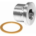 BDKWID-Internal Hex Head Socket Pipe plug M10x1 Thread Stainless Steel ...