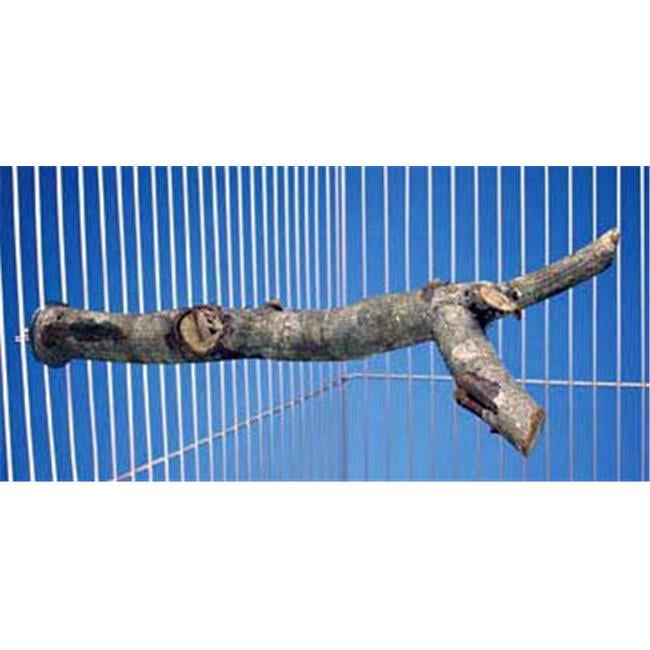 Natural Branch Y Perch - Small - Walmart.com