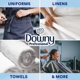 Downy Professional Commercial Liquid Fabric Softener, Clean & Fresh ...