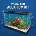 Tetra 20 Gallon Glass LED Aquarium Kit - Walmart.com