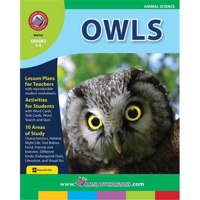 Rainbow Horizons Owls - Grade 2 to 6 - Walmart.com