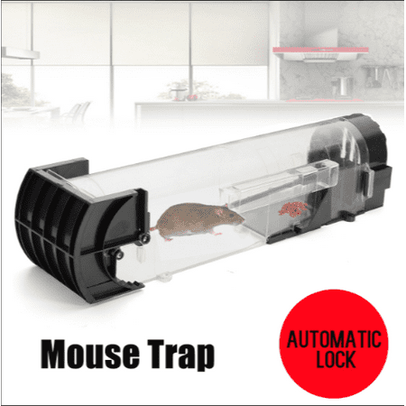 Humane Mouse Traps Catch and Release That Work - Mouse Traps No Kill ...
