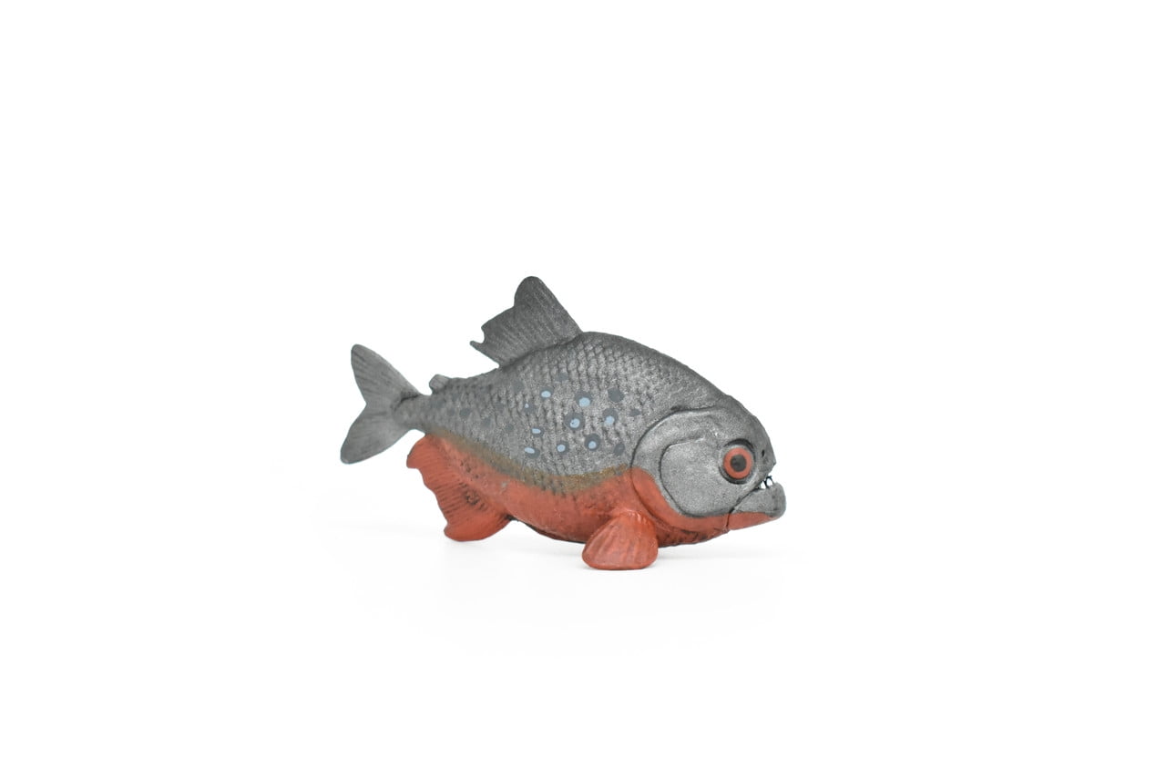 Piranha Toy Animal, Pirana, Fish, Realistic Rubber Replica, Hand ...