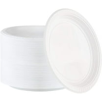 PLASTICPRO 9-inch Round Plastic Plates, Large Disposable Dinnerware for ...