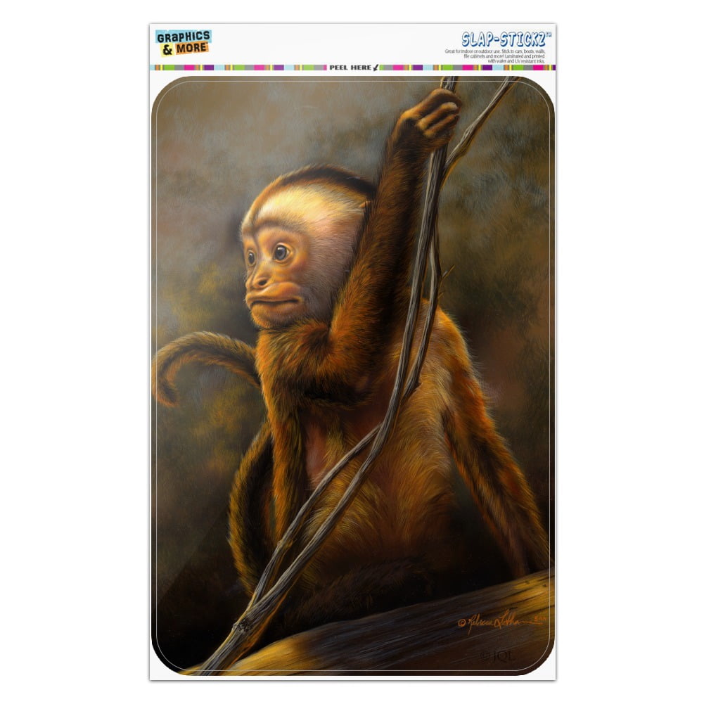 Capuchin Monkey Organ Grinder Home Business Office Sign - Walmart.com