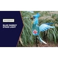 Moonrays 96332 Blue Solar Led Paradise Parrot Stake Light - Walmart.com