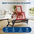 Dog Treadmill for Large/Medium Dogs with Brake, Treadmill for Dogs up ...