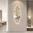 Asymmetrical Irregular Organic Shape Frameless LED Lighted Decorative ...