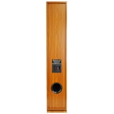 Rockville BluTube WD Bluetooth Tube Amplifier/Home Receiver + (2) Tower ...