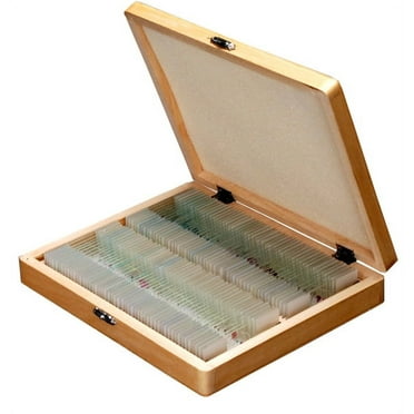 AmScope 100 Biology Prepared Microscope Slides, Blank Slide Coverslip ...