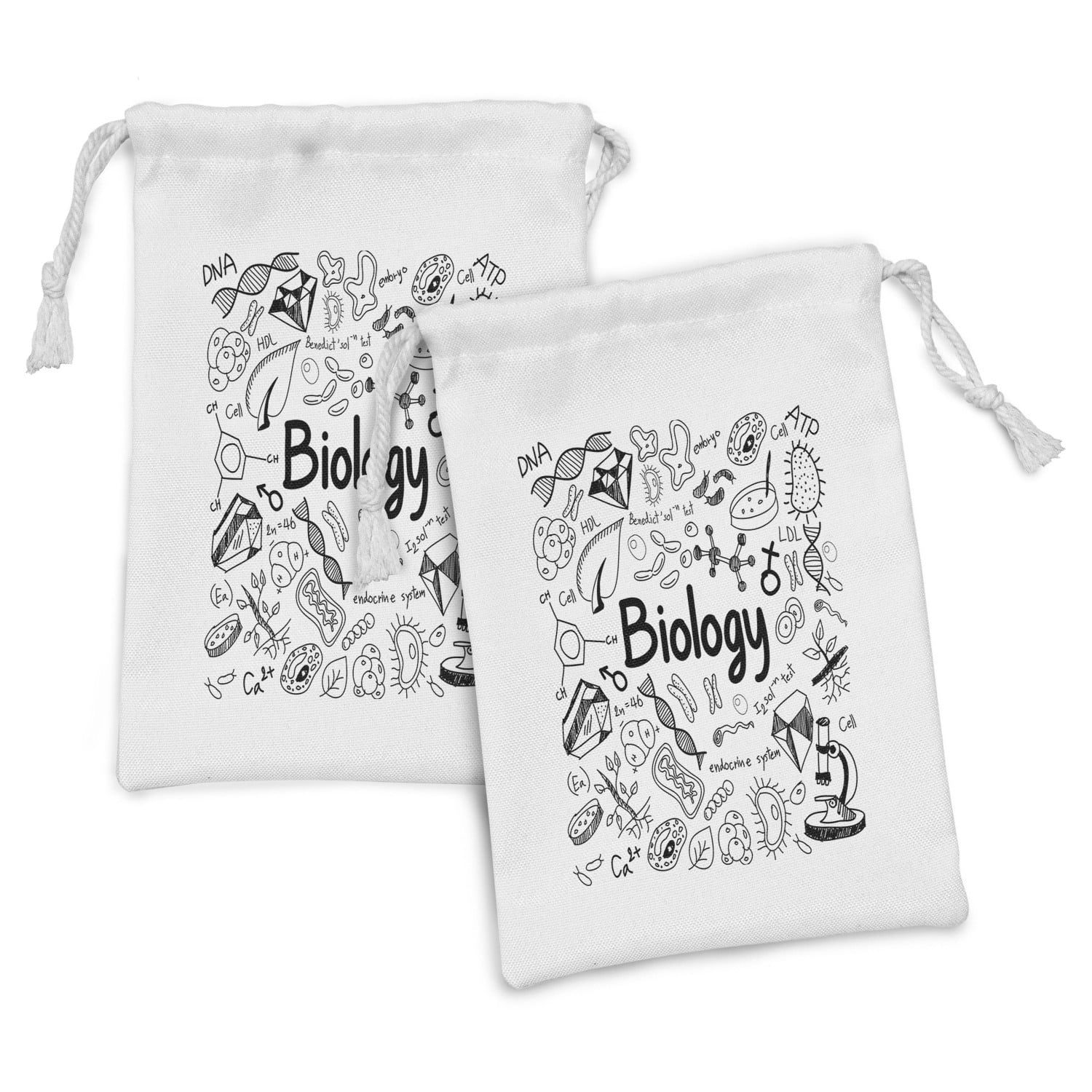 Biology Fabric Pouch Set of 2, Doodle Hand-writing Elements Molecules ...