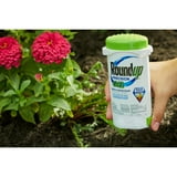 Roundup Precision Gel Weed & Grass Killer, 5 oz - Walmart.com