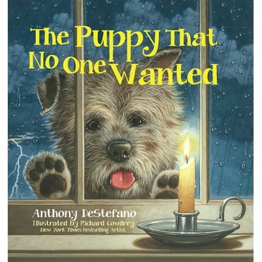 Have You Thanked a Kidventor Today?, (Hardcover) - Walmart.com