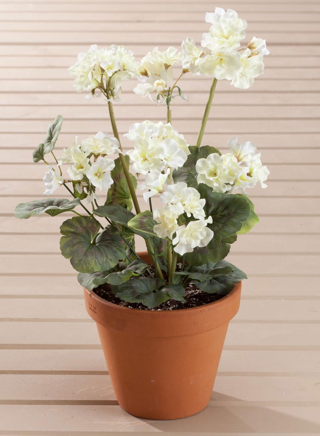 All Weather Silk Geraniums