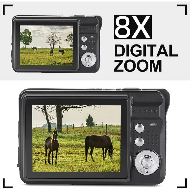 Walmart Cameras