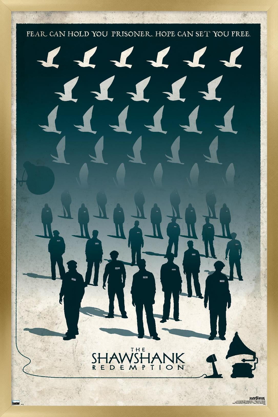 Warner 100th Anniversary: Art of 100th - The Shawshank Redemption Wall Poster, 14.725" x 22.375 ...