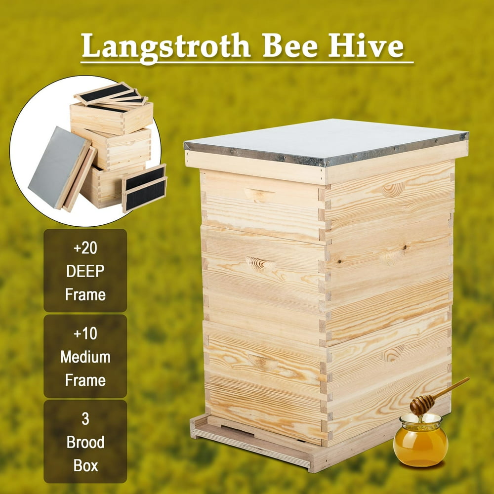 30-Frame Hive Frame/Bee Hive Frame/Beehive Frames w/ Metal Roof for ...