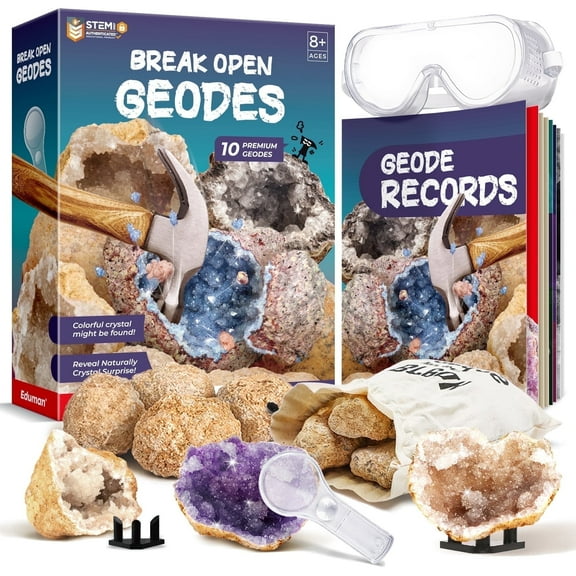 Roylco Animal X-Ray Set, Set of 14 - Walmart.com