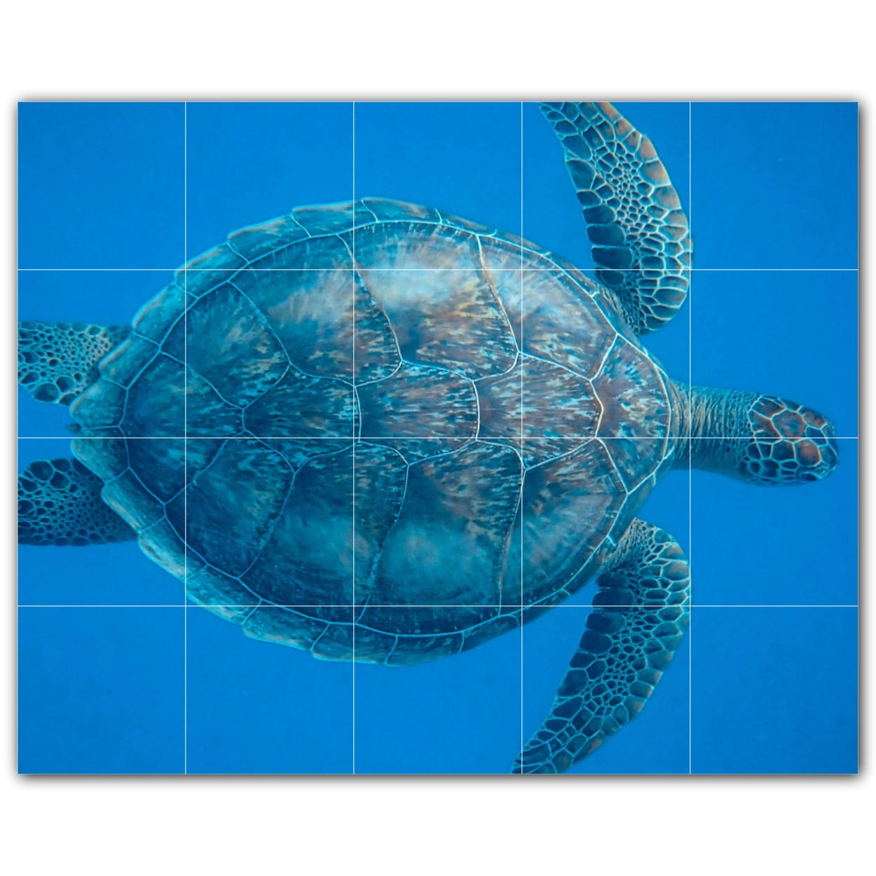 Picture-Tiles.com: Turtle Ceramic Tile Wall Mural WAL501067-54XL. 60"W ...