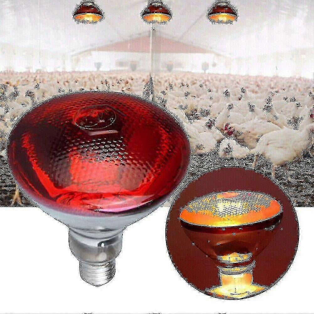 Lámpara de calor para aves de corral Lámpara de calor infrarroja para ...