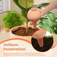 FUYGRCJ 4PCS Plant Self Watering Globes, 430ML Terracotta Self Watering ...