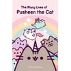 Pusheen Poster Book: 12 Cute Designs to Display, (Paperback) - Walmart.com