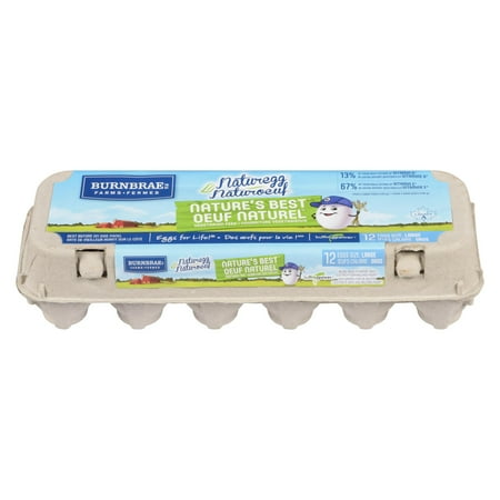 Naturegg Nature's Best Large White Eggs, 12 eggs/carton - Walmart.ca
