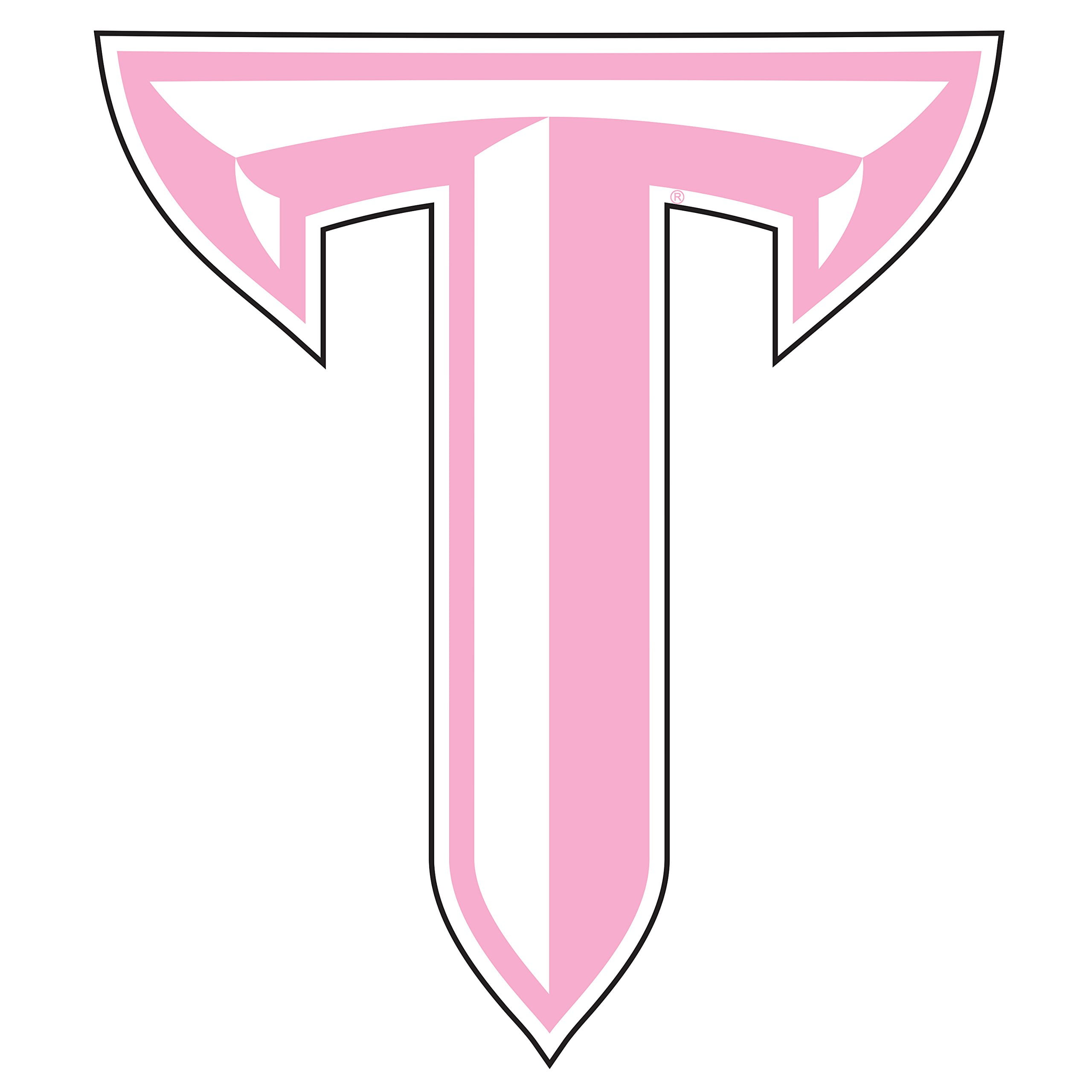 Troy Decal (PINK SWORD DECAL (3",4",6",12"), 6 in) - Walmart.com
