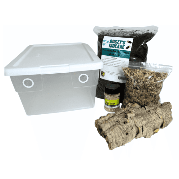 Zilla Pet Reptile Starter Habitat Kit with Light and Heat for Small ...