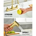 Gold Kitchen Faucet with Side Sprayer, 2-Handle High Arch SUS304 ...