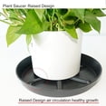 Plant Saucer 8 Inch 4 Pack Round, Sturdy Thick Plastic with Elevated ...