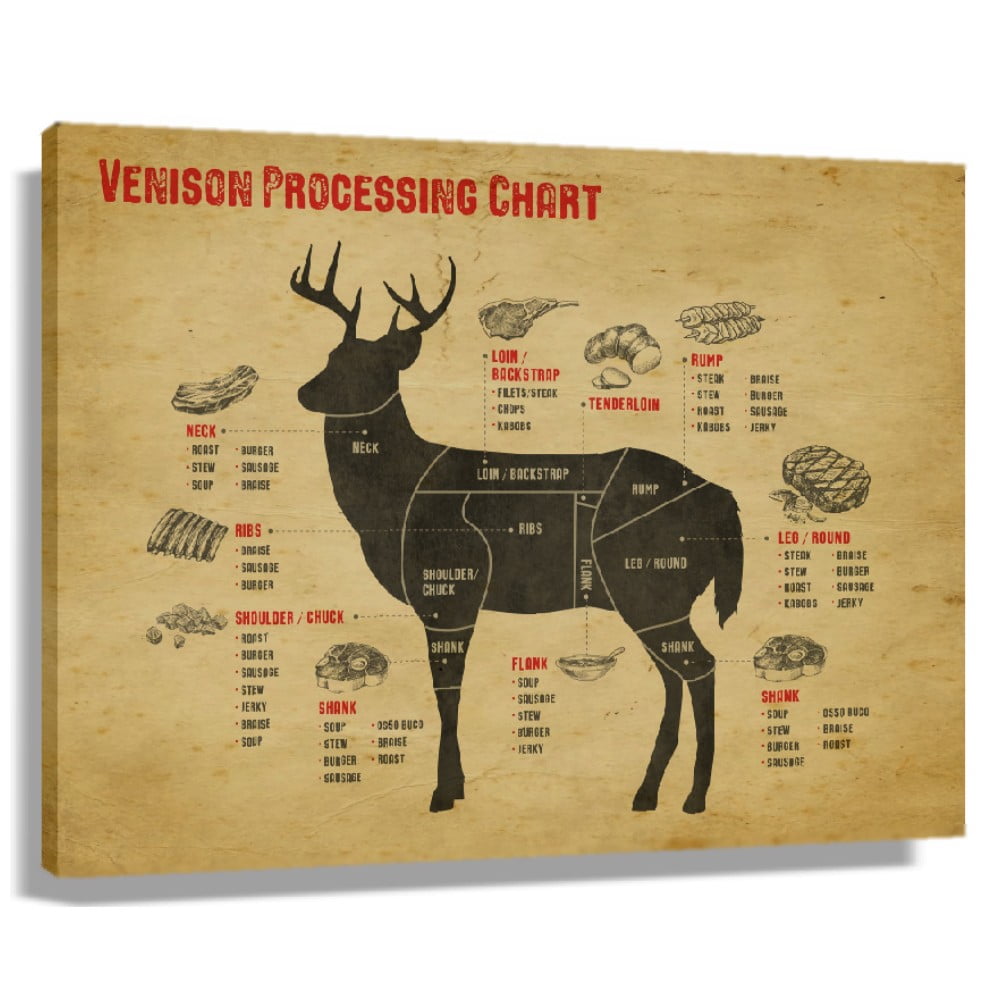 Deer Wall Art Knowledge Poster Venison Chart Poster Artwork ...
