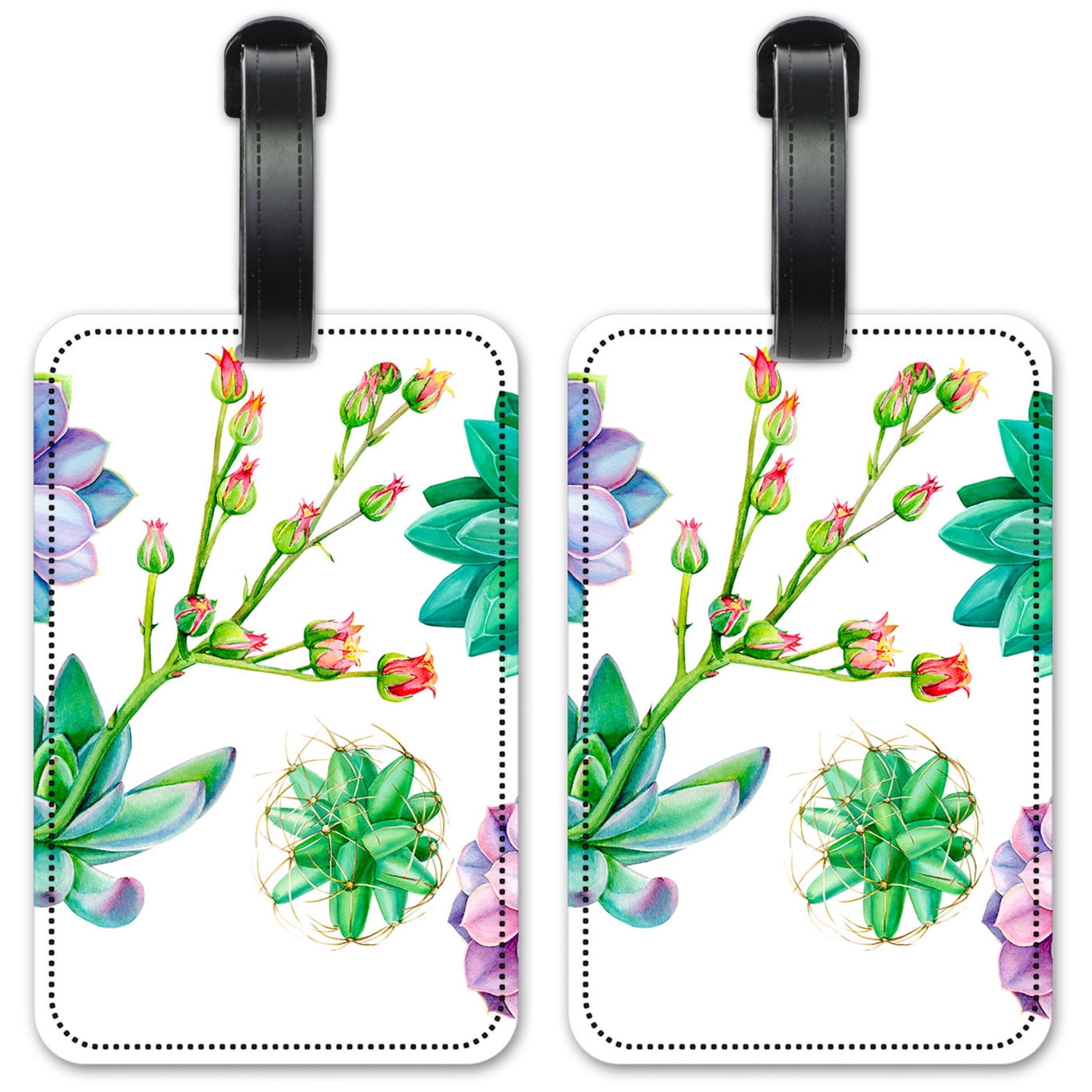 Succulent Id Card