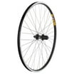Eisco Labs Premium Bicycle Wheel Gyroscope, 20" Diameter - Angular ...