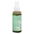 Aloe Life SG Aloe Mist 4 oz Spray - Walmart.com