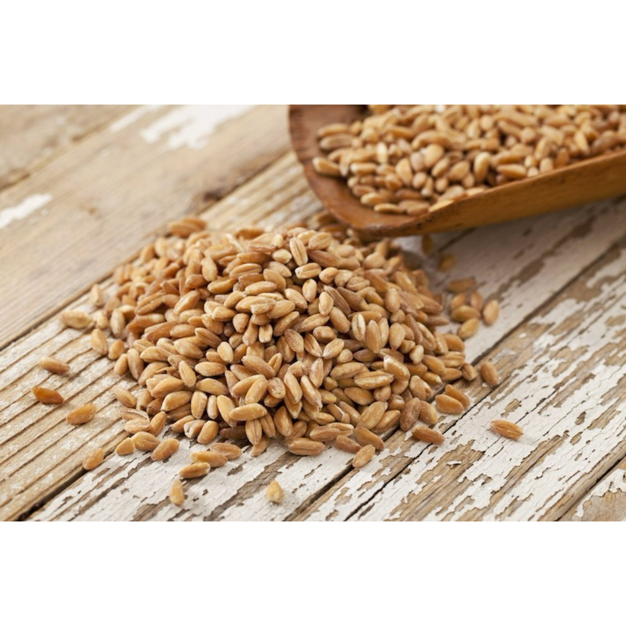 Click here for Wholesale2go Barley Hulled prices