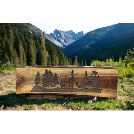 Northern Custom Etching - Walnut Wood Sign with Deer in Wilderness ...