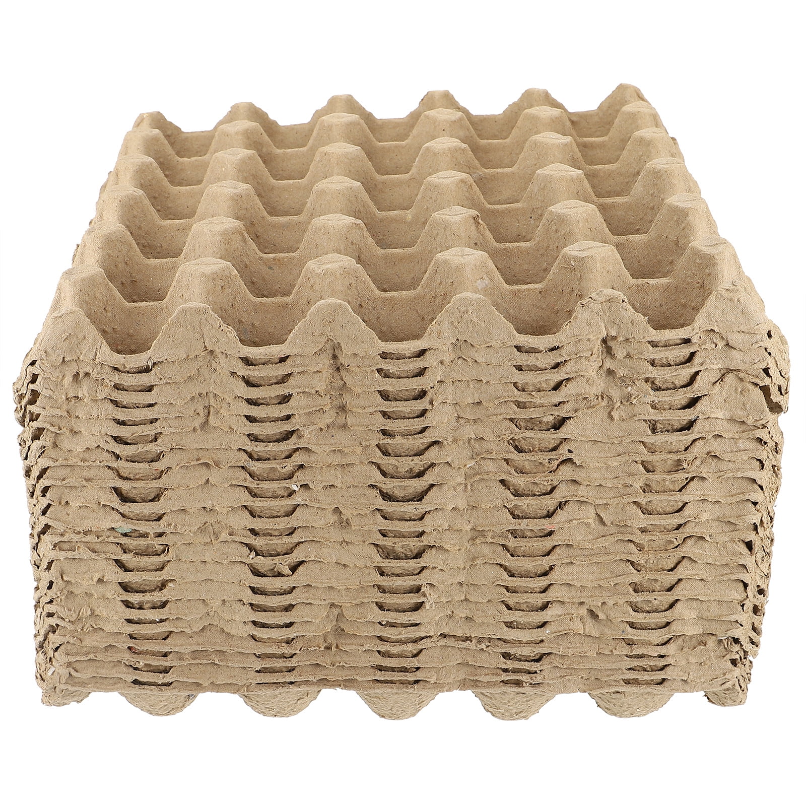 Buy 20pcs 30-Hole Biodegradable Pulp Egg Flats Insect Larva Colony for ...