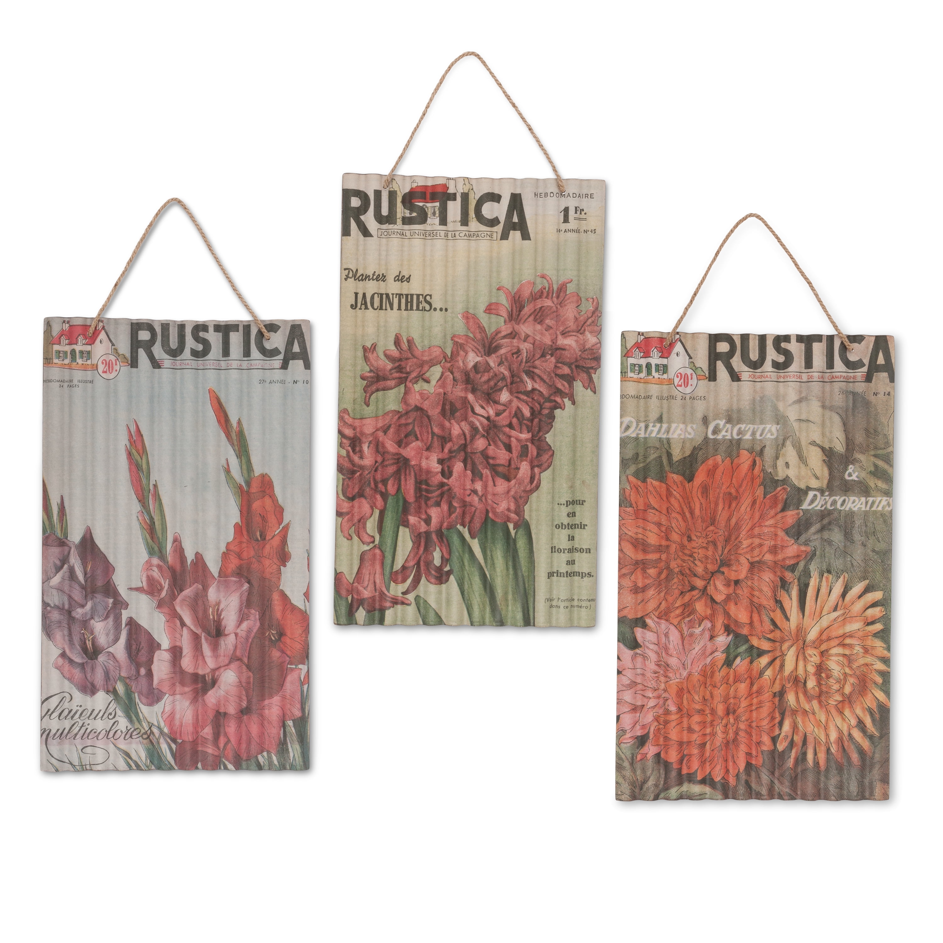 Assorted, Antique-Styled Corrugated Metal Seed Packet Wall Art (Set of ...