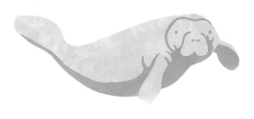 Single Manatee Wall Stencil SKU #2453 by Designer Stencils - Walmart.com